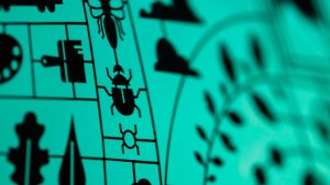 The Consilience Project | Development in Progress - The Consilience Project